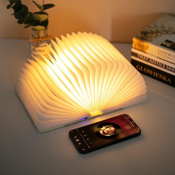 Book Lamp - Etsy