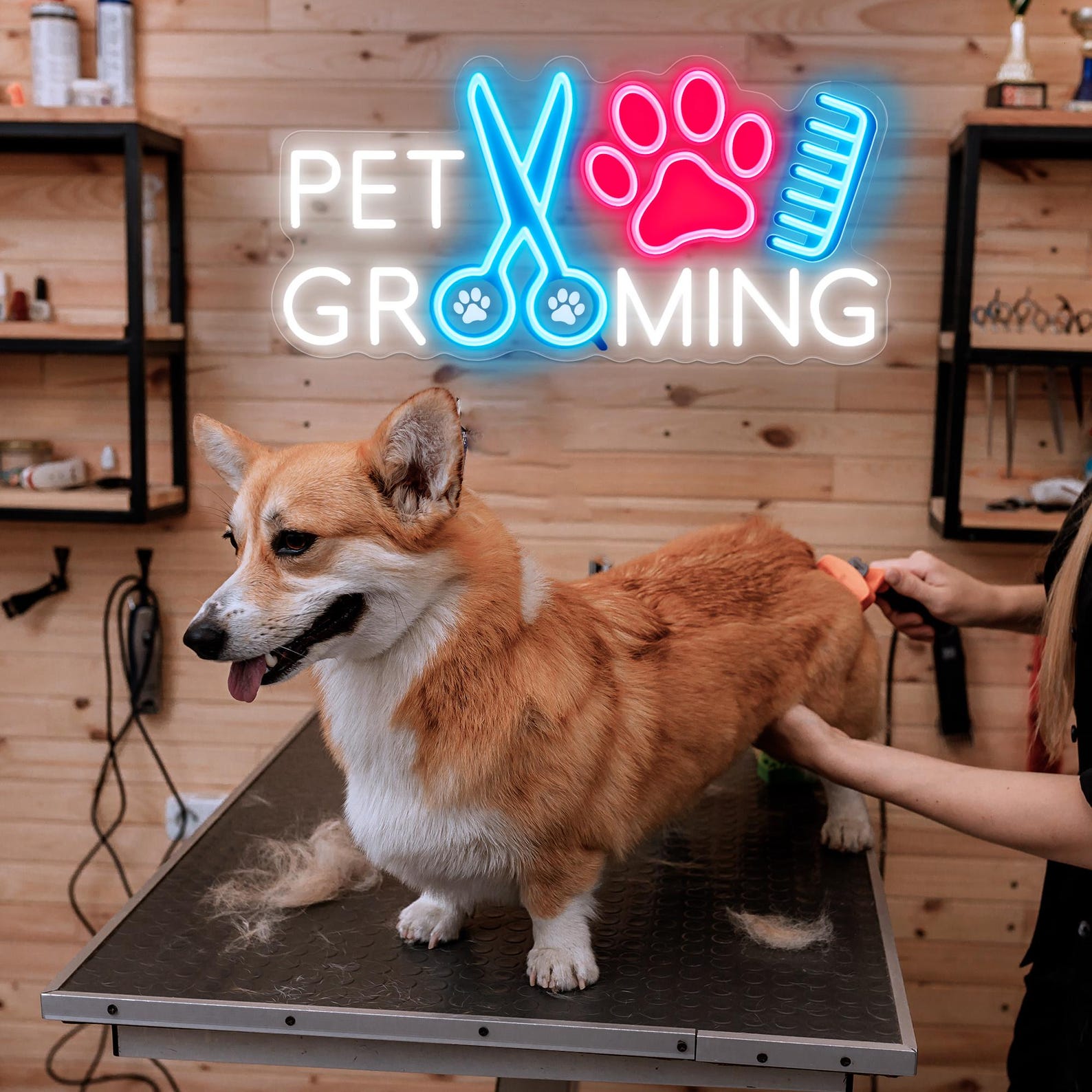 Pet Grooming Neon Sign, Custom Pet Spa Neon Sign, Pet Shop Open Neon ...
