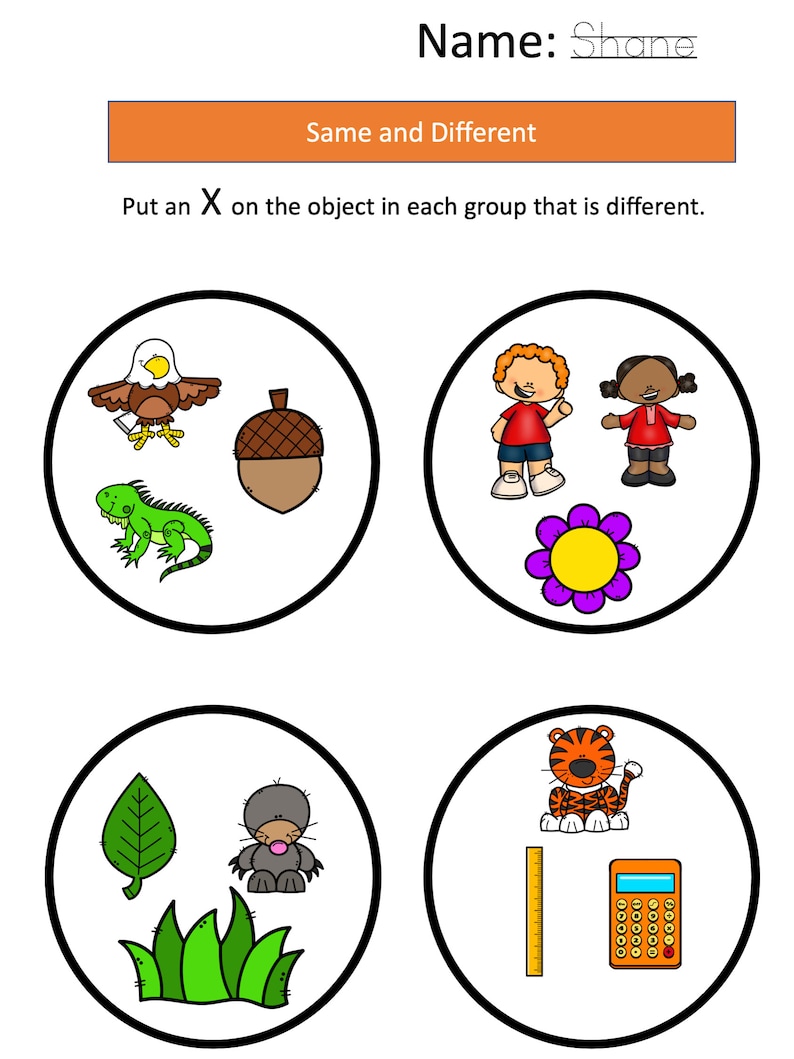 Pre K Workbook, Kindergarten Worksheets, Autism Education, Autism ...
