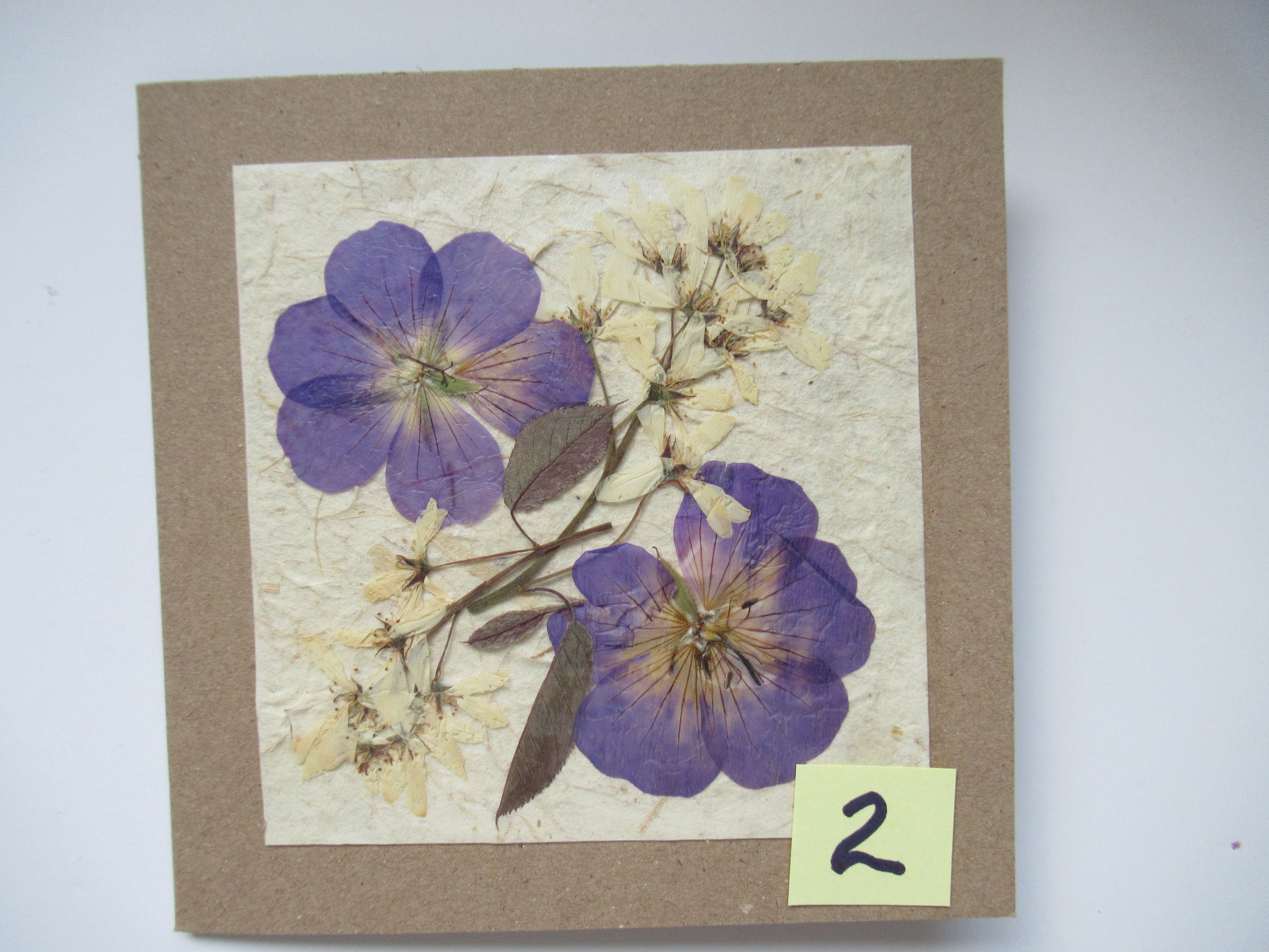Pressed Flower Card REAL Flower Card Blank Greetings Card Hand - Etsy UK