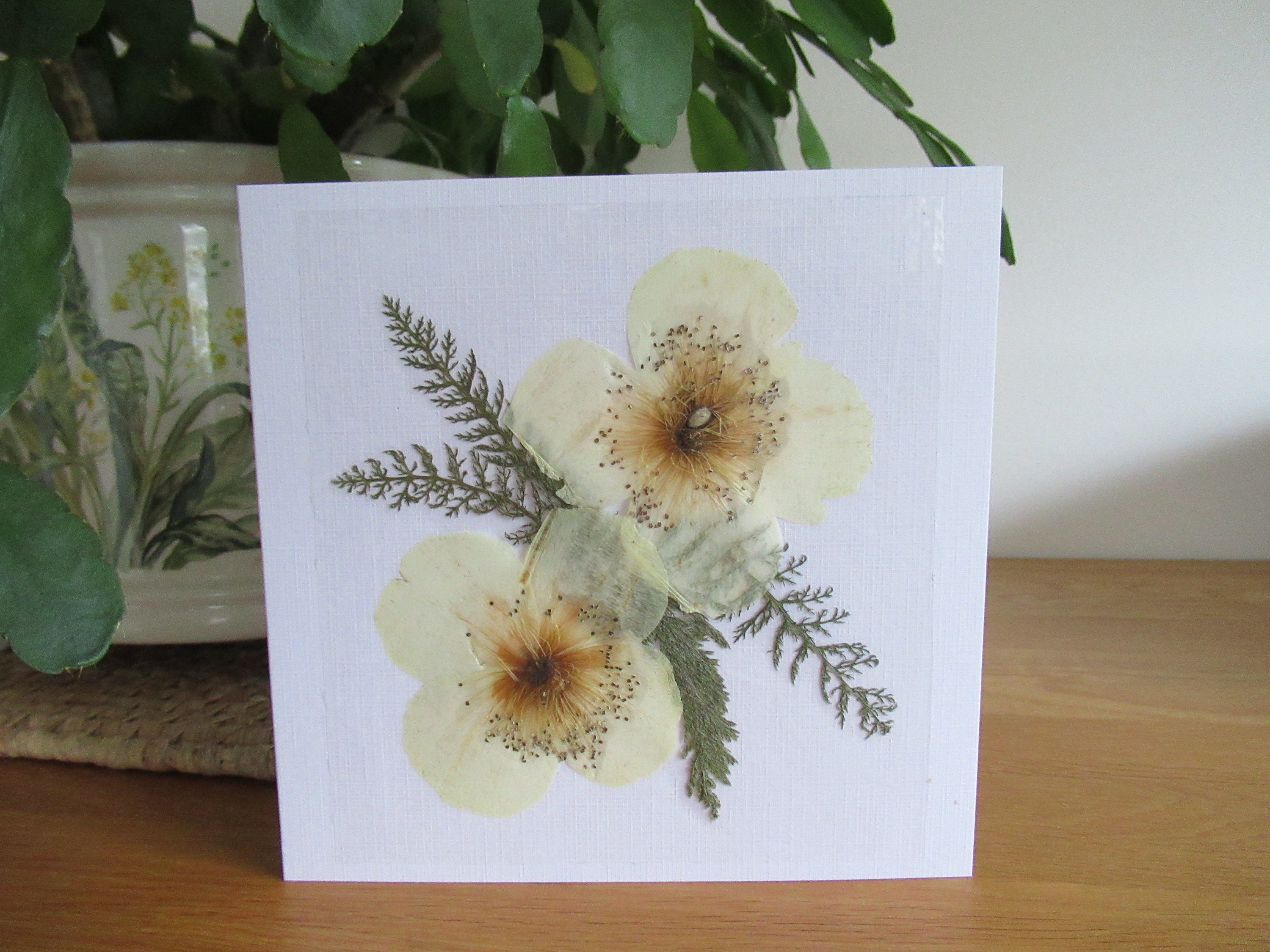 Pressed Flower Card REAL Flower Card Handmade Blank Card Dried - Etsy UK