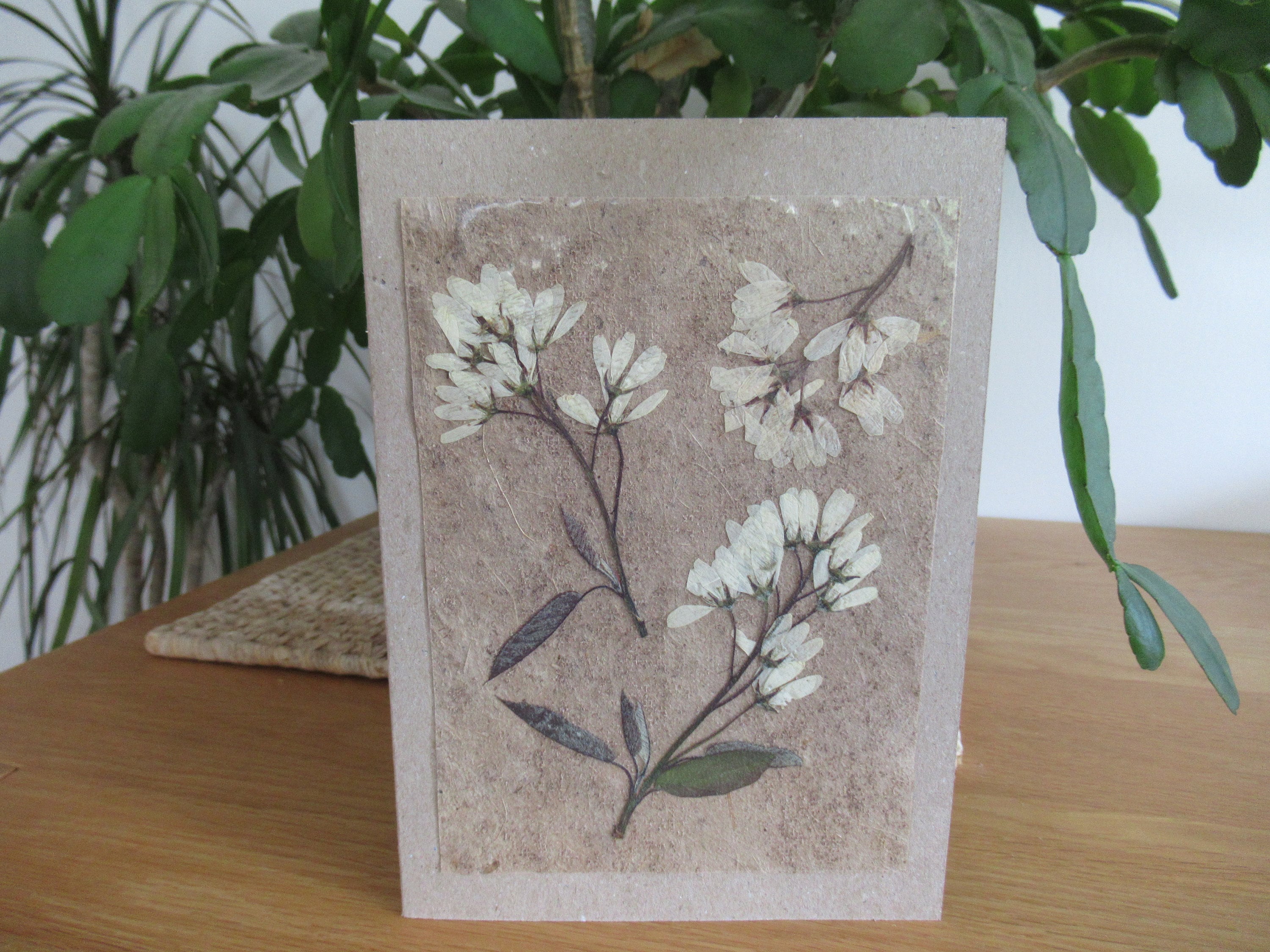 Pressed Flower Card REAL Flower Card Hand Made Blank Card - Etsy UK