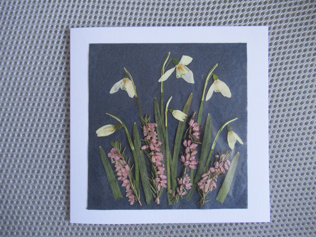 Pressed Flower Card REAL Flower Card Hand Made Card Blank Dried Flower ...