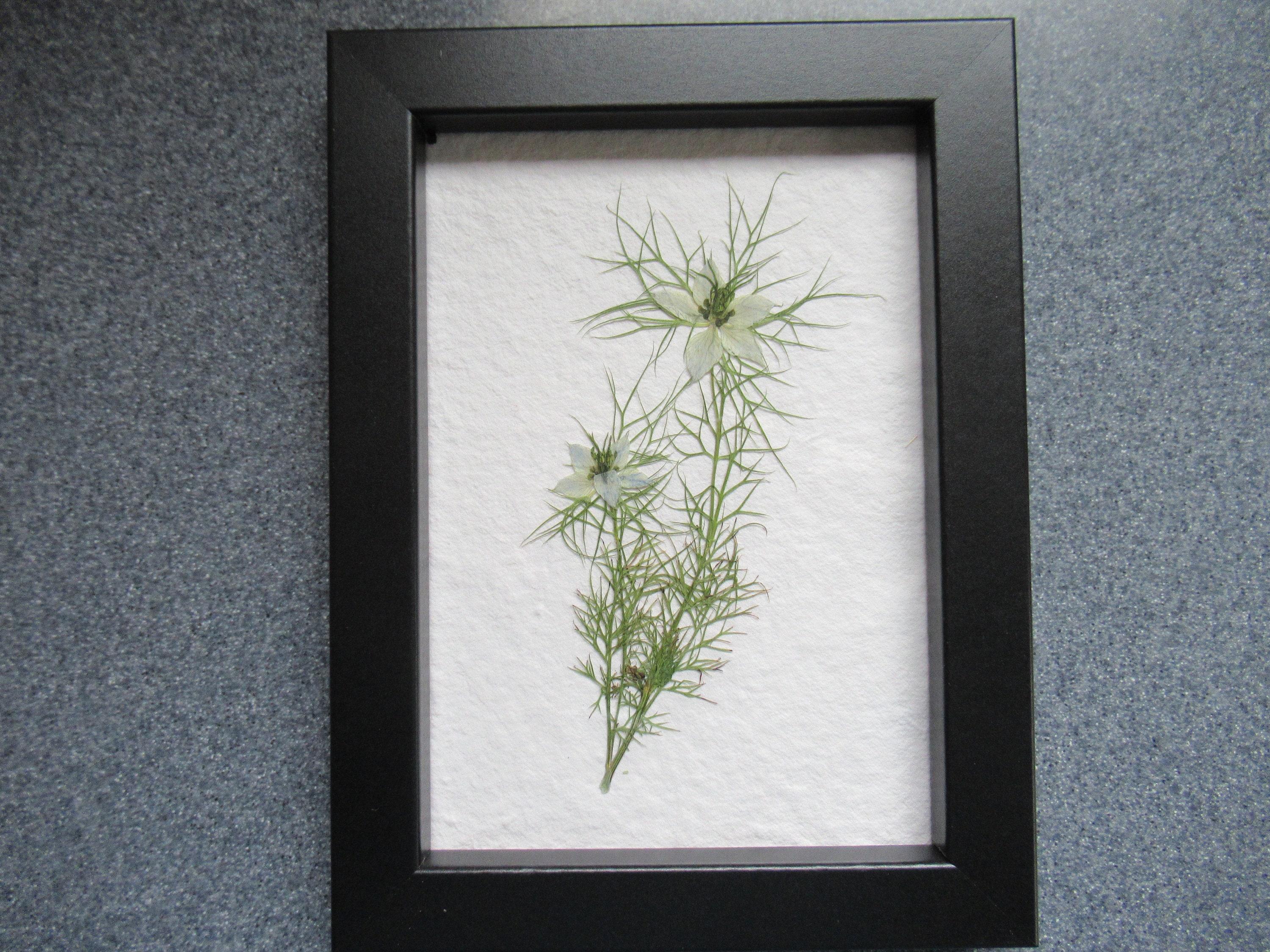 Pressed Flower Frame REAL Flower Frame Handmade Dried Flower - Etsy UK