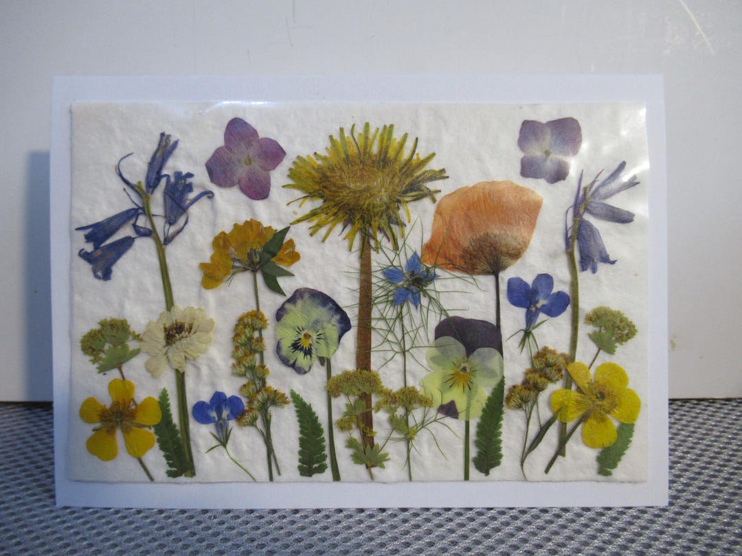 Pressed Flower Card REAL Flower Card Handmade Blank Card Flower ...