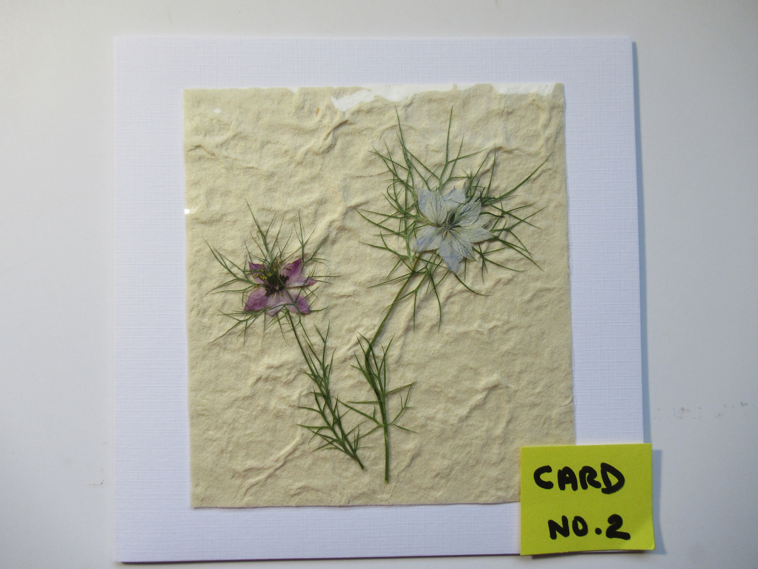 Pressed Flower Card REAL Flower Card Handmade Blank Card - Etsy UK