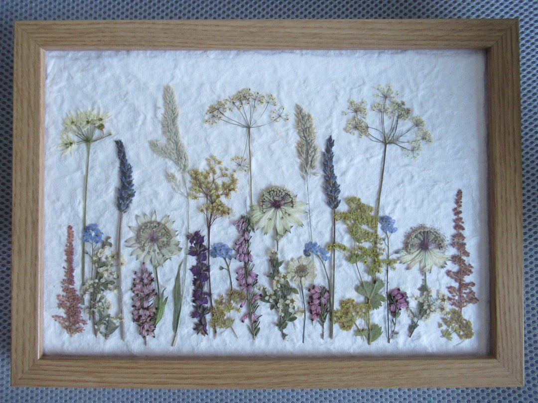Pressed Flower Frame REAL Flower Frame Hand Made Dried Flower - Etsy UK