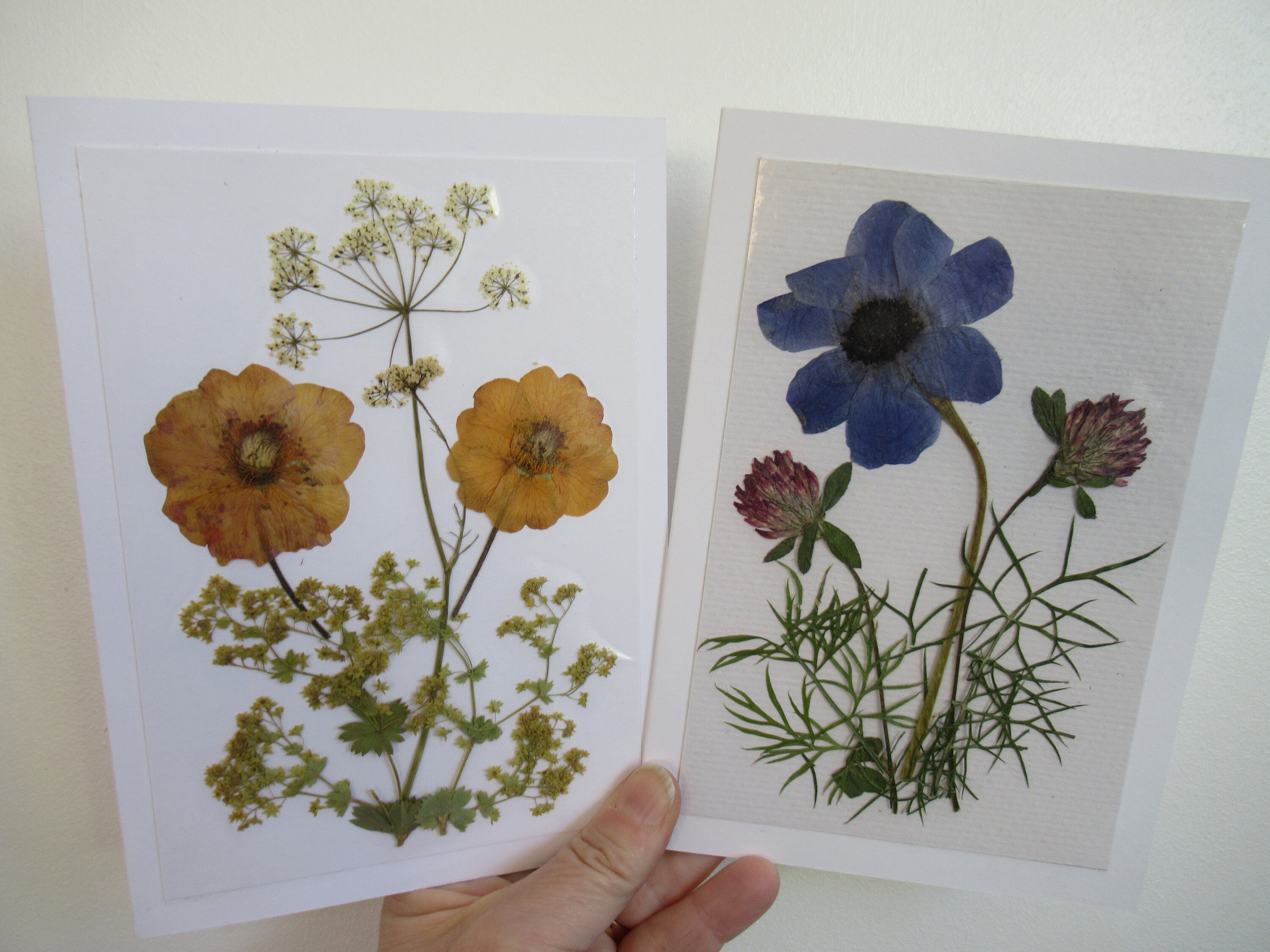 Pressed Flower Card REAL Flower Card Blank Card Handmade Greetings Card