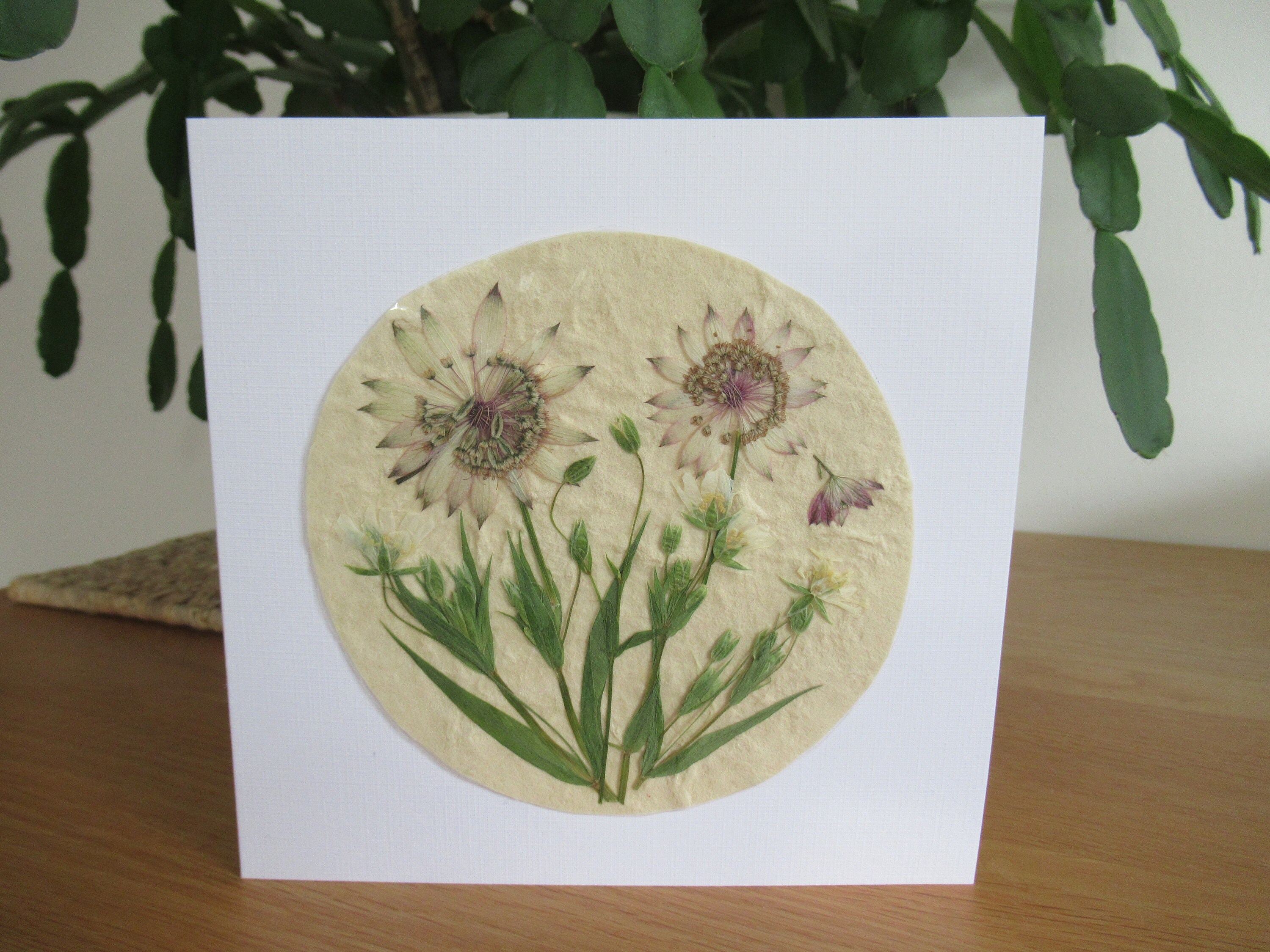 Pressed Flower Card REAL Flower Card Handmade Blank Card - Etsy UK
