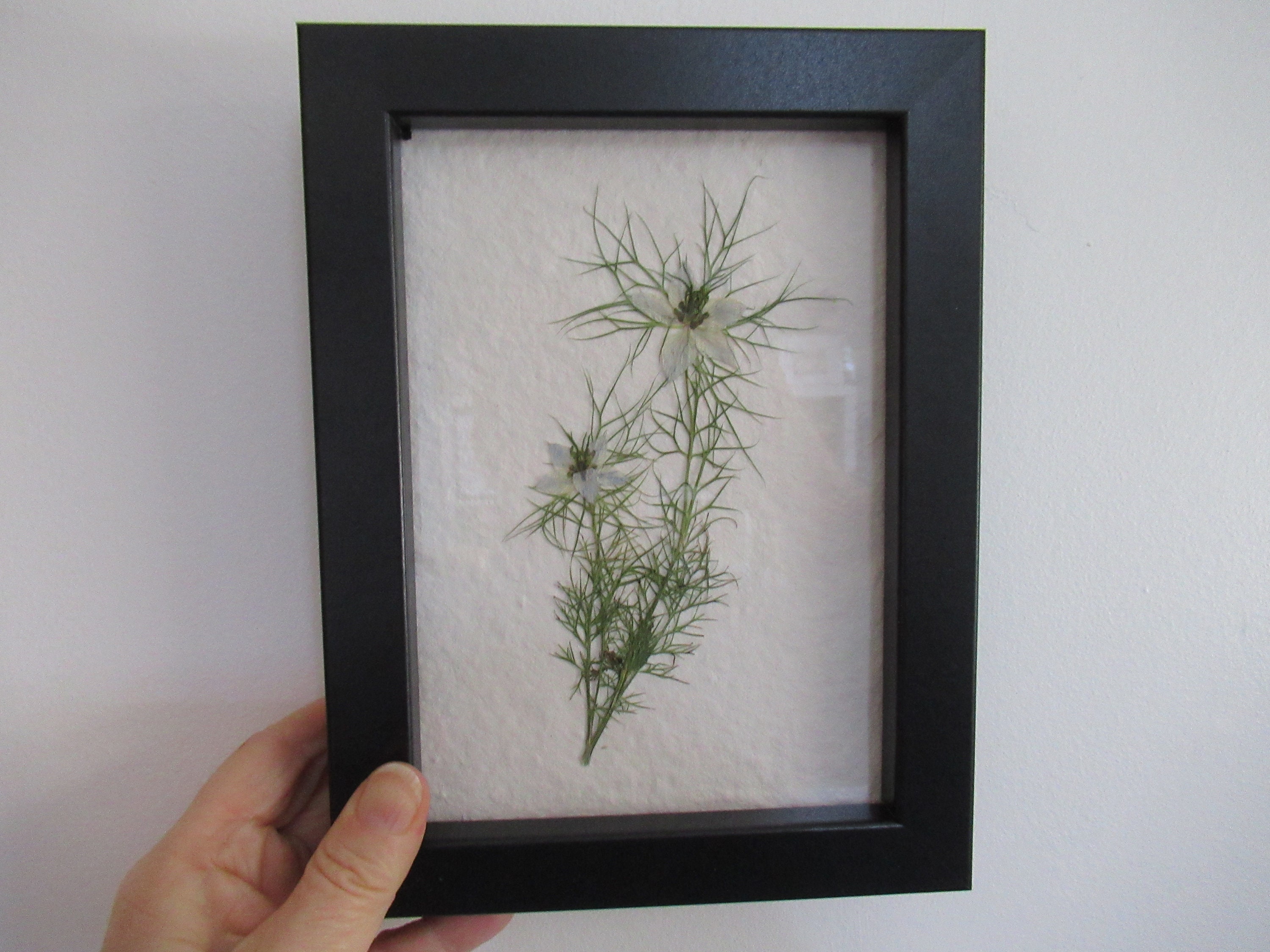 Pressed Flower Frame REAL Flower Frame Handmade Dried Flower - Etsy UK