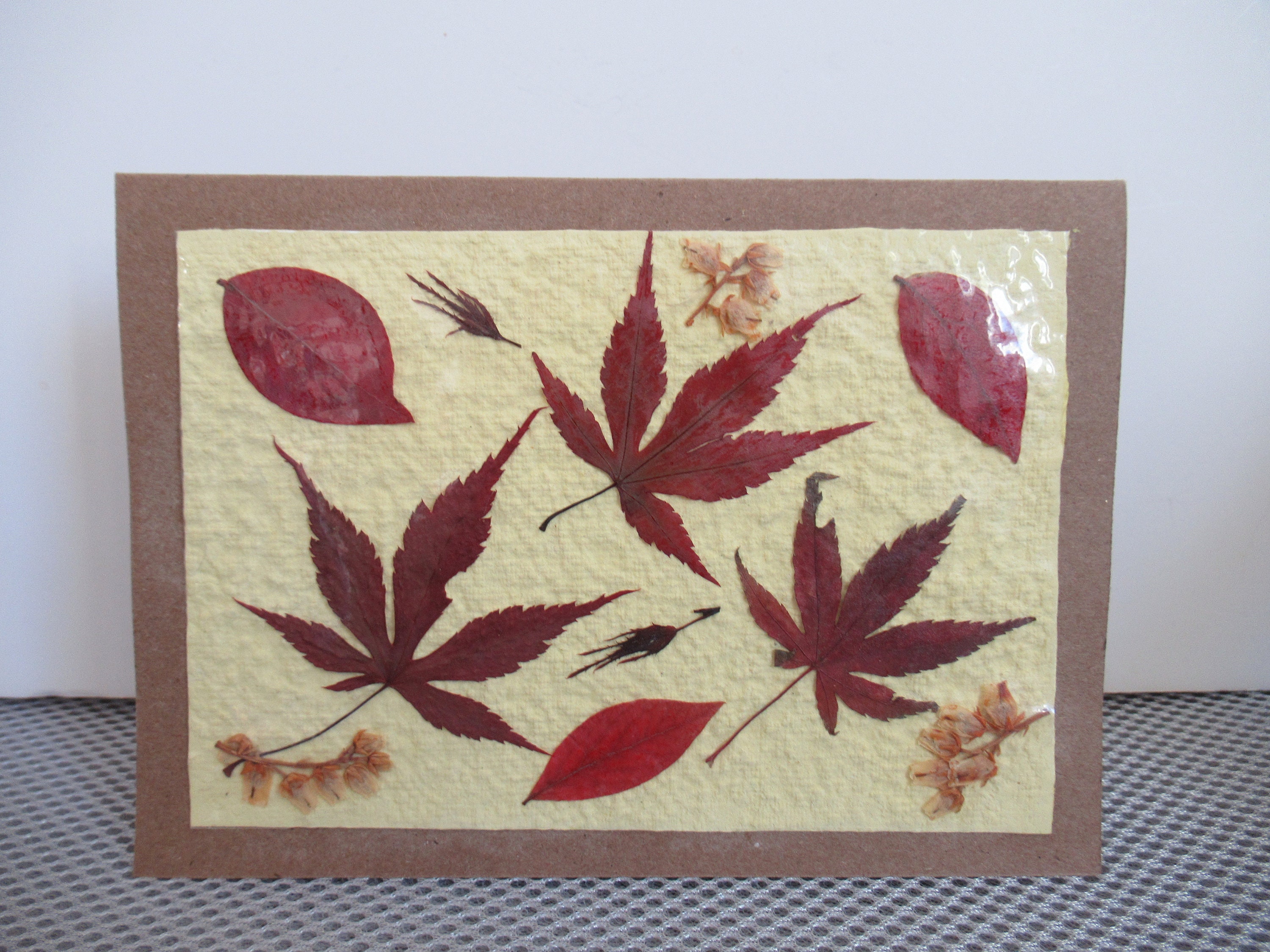 Pressed Autumn Leaf Card REAL Flower Card Handmade Blank Card - Etsy UK