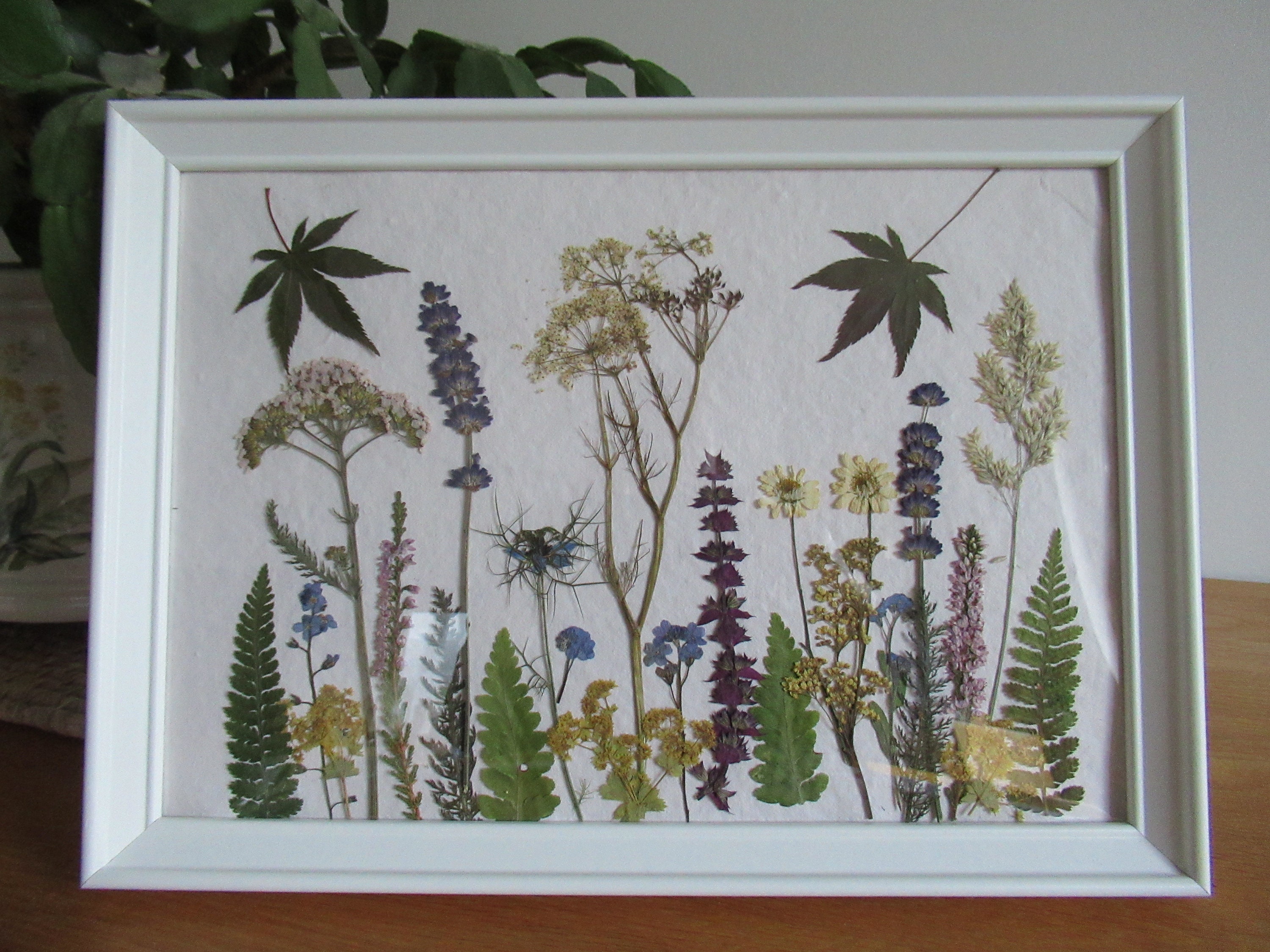 Pressed Flower Frame Real Flower Frame Handmade Dried Meadow Flower ...