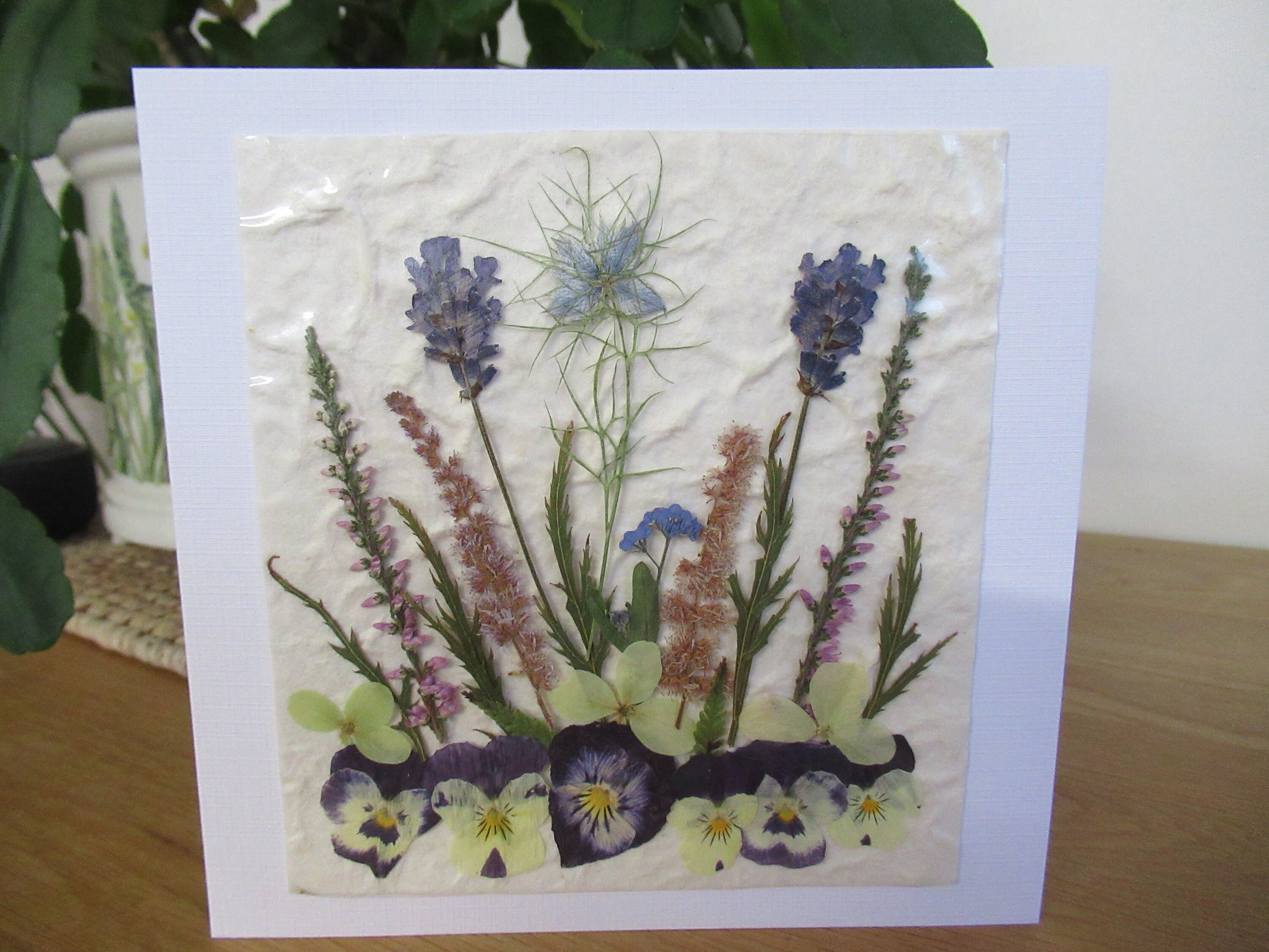 Pressed Flower Card REAL Flower Card Hand Made Blank Card - Etsy UK