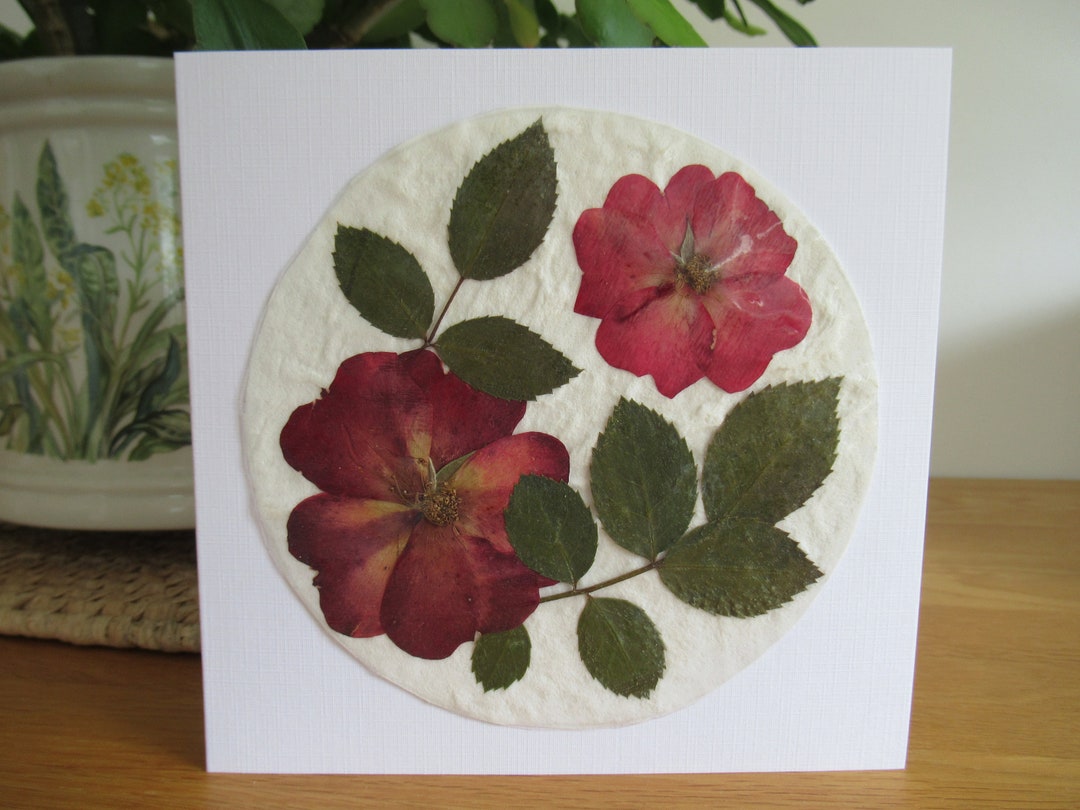 Pressed Flower Card REAL Flower Card Handmade Blank Card - Etsy UK