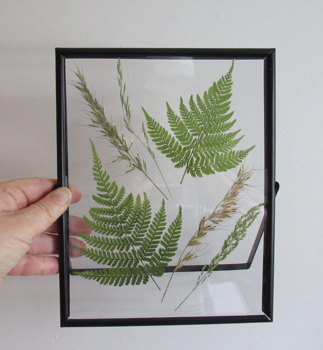 Pressed Fern Frame REAL Flower Frame Hand Made Dried Flower Frame Free ...
