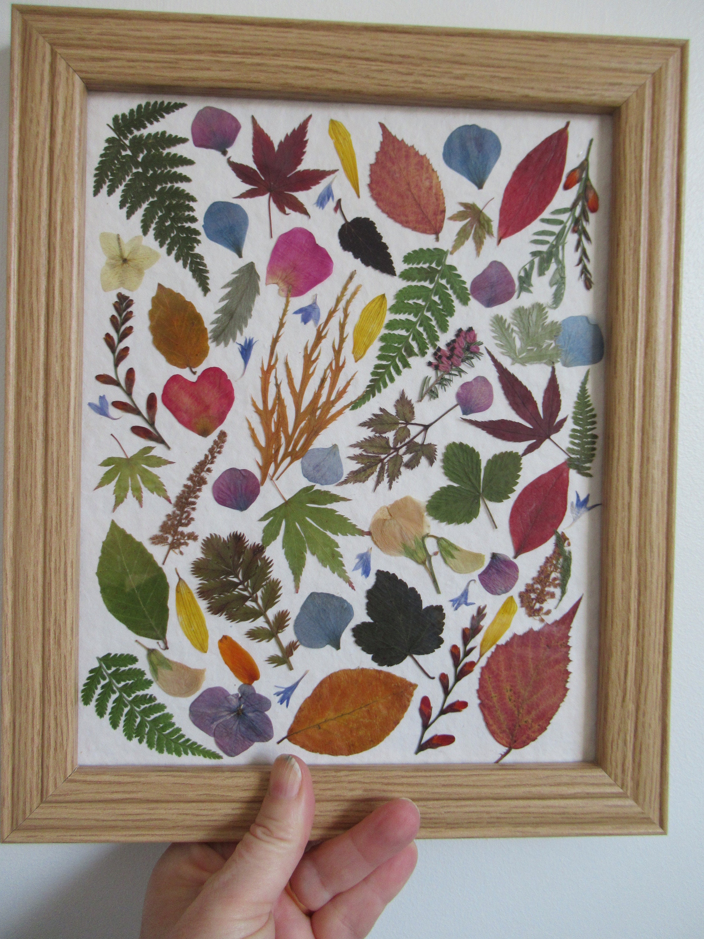 Handmade Pressed Flower Frame REAL Flower Frame Dried Flower Frame ...