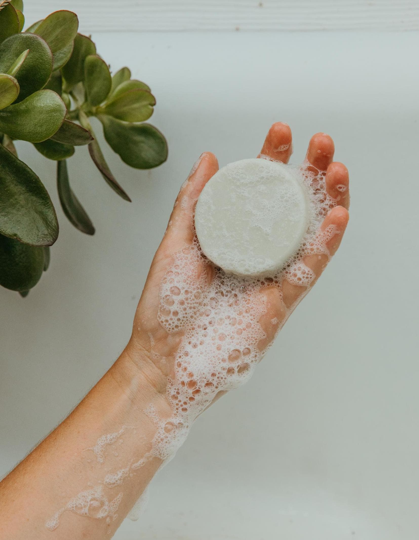 Circle Soaps | Natural | Vegan | Cold Process - Etsy