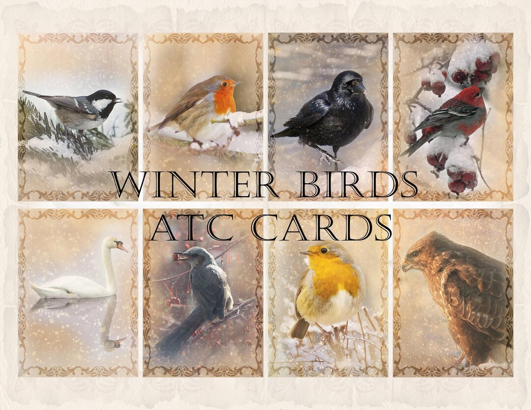 Winter Birds ATC Cards, Junk Journal Cards: Digital and Printable ...