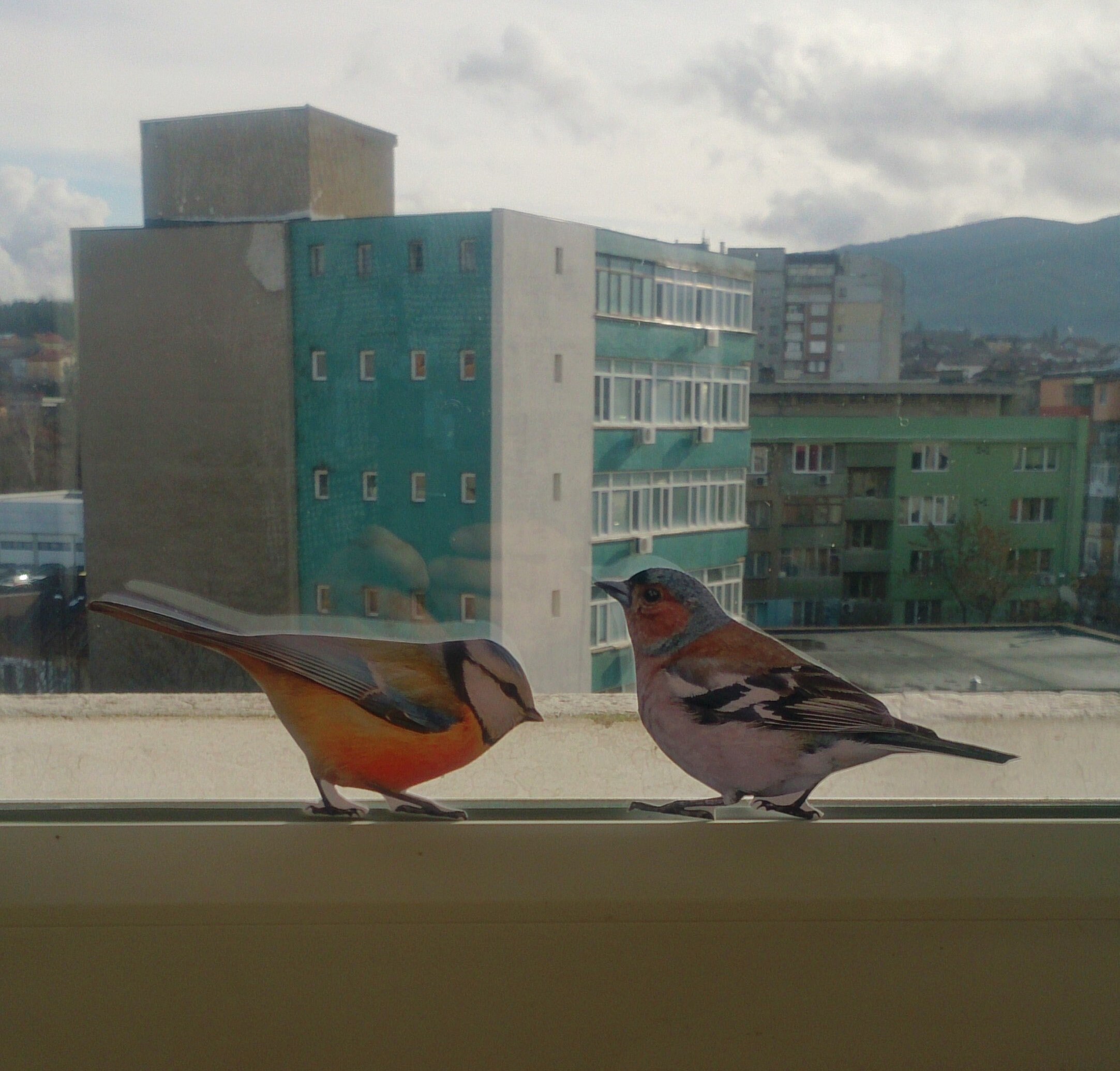 Realistic Birds Images, Printable Stickers for Windows, Walls ...