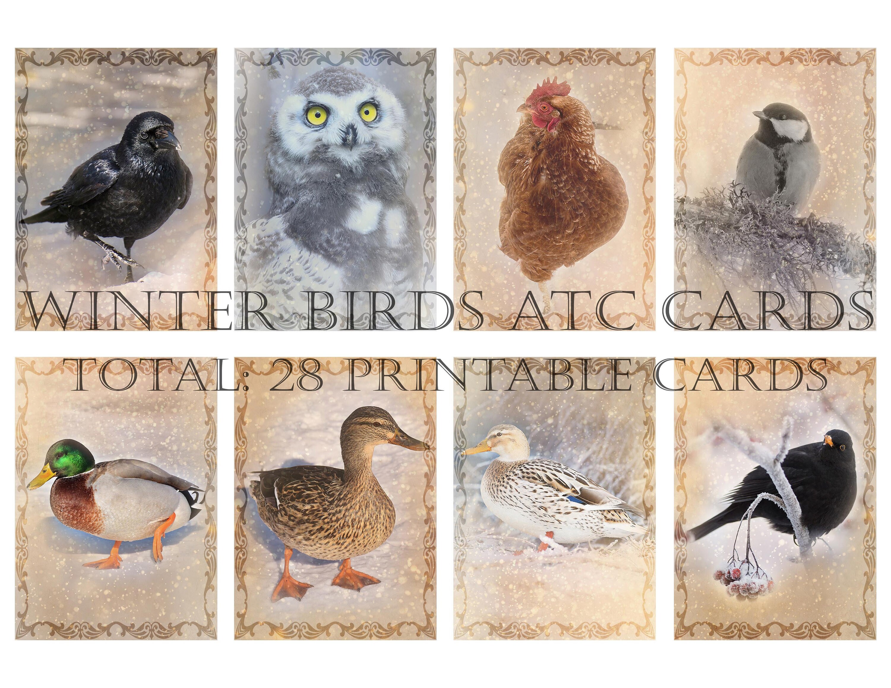 Winter Birds ATC Cards, Junk Journal Cards: Digital and Printable ...