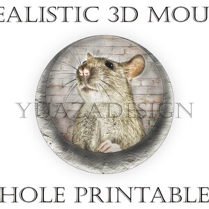Realistic 3D Mice Hole Images Set 5 Digital and Printable | Etsy