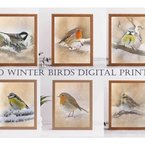 Winter Birds Digital Prints, 30 Printable Birds Images, Winter Birds ...