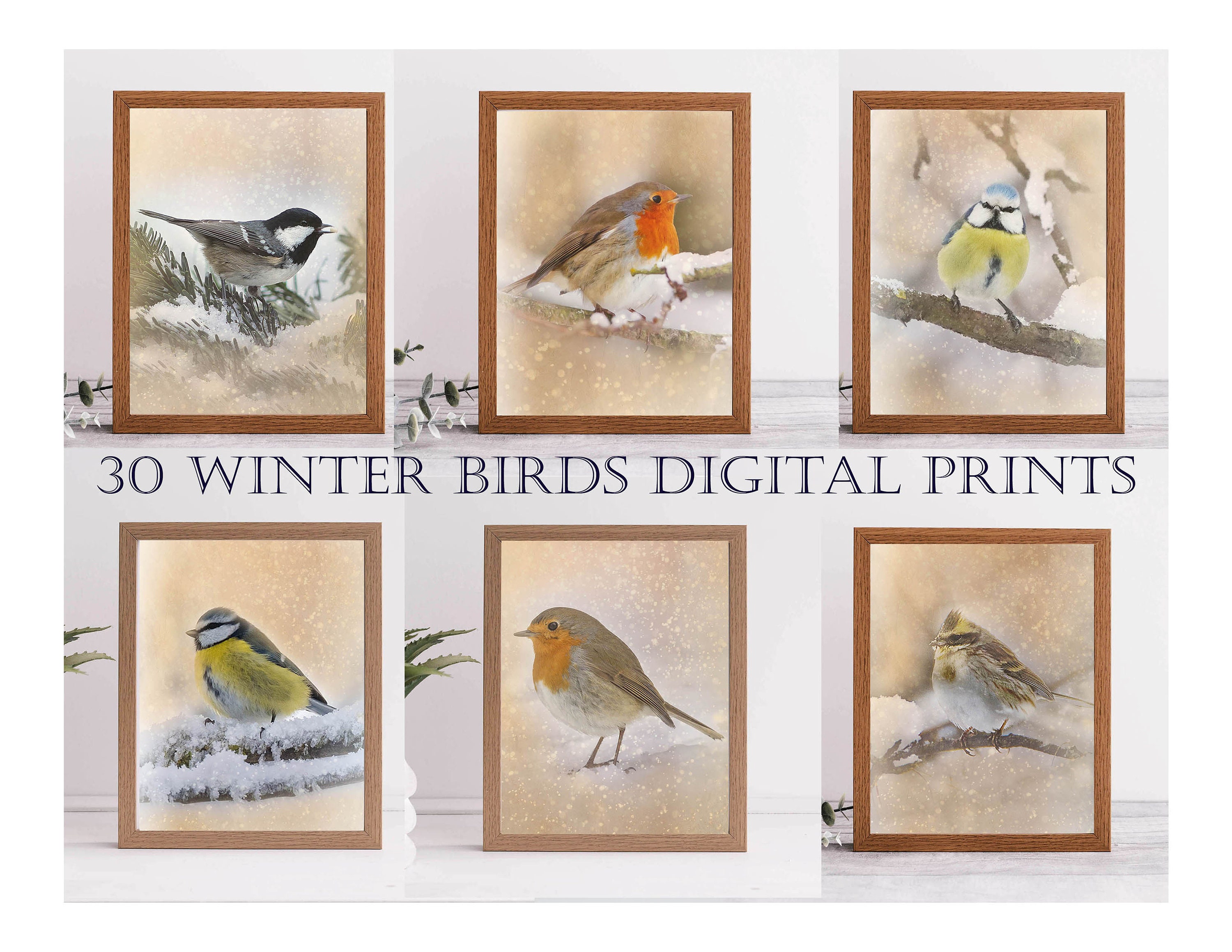 Winter Birds Digital Prints, 30 Printable Birds Images, Winter Birds ...