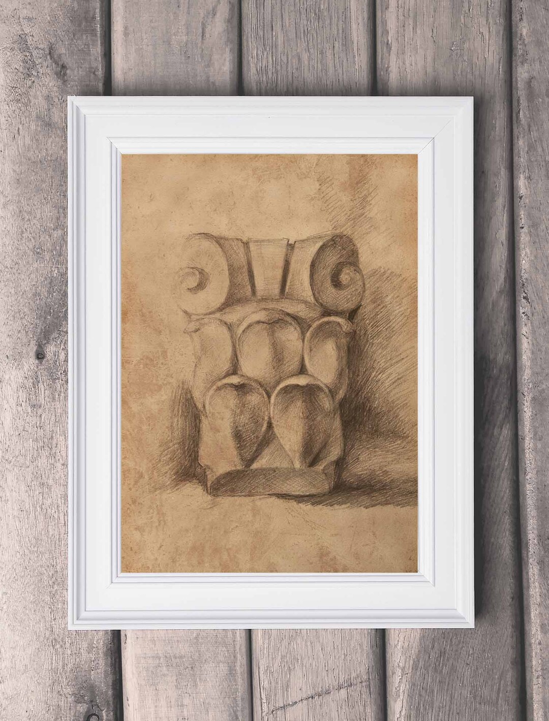 Architectural Capital With Ionic Volutes: Printable Eclectic ...