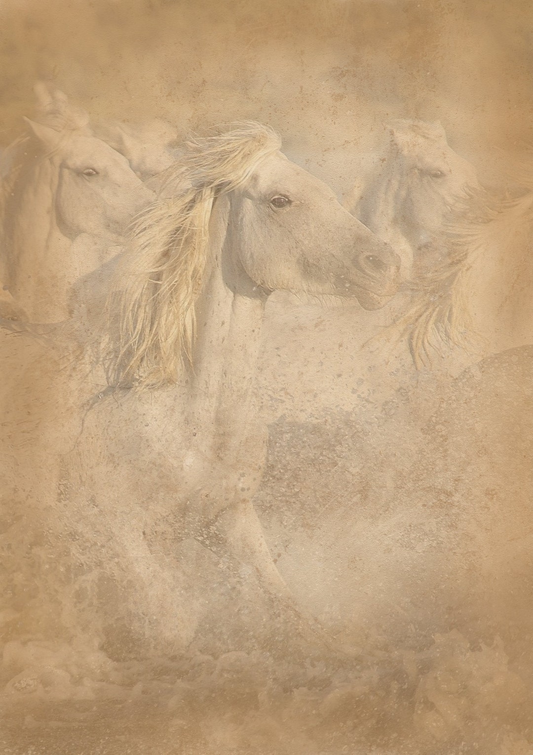 Vintage Horses Writing Sheets, Digital Printable Old Looking Pages With ...