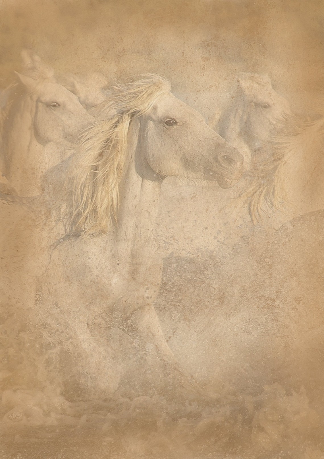 Vintage Horses Writing Sheets, Digital Printable Old Looking Pages With ...