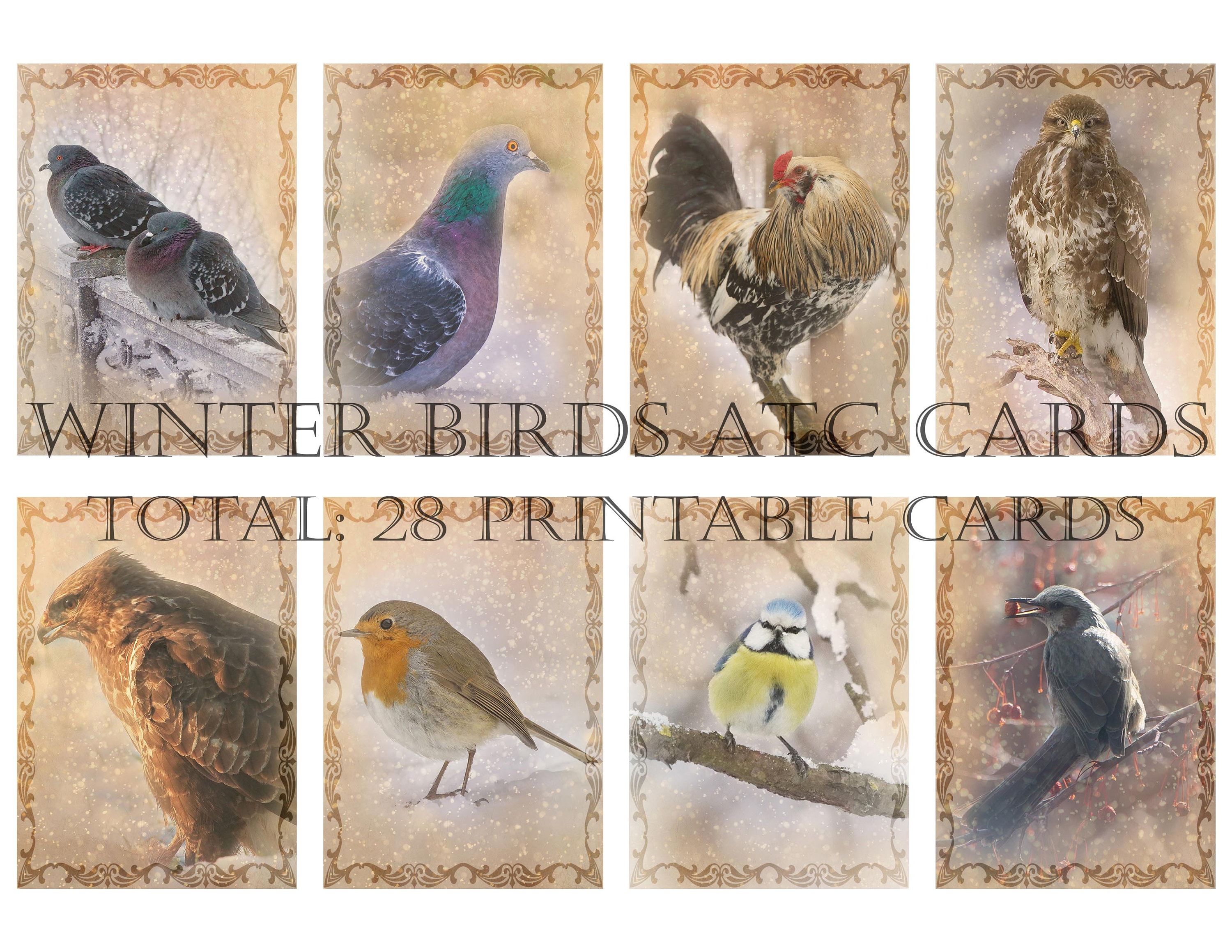 Winter Birds ATC Cards, Junk Journal Cards: Digital and Printable ...