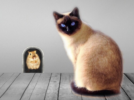 Realistic 3D Mouse Hole Image Digital and Printable | Etsy