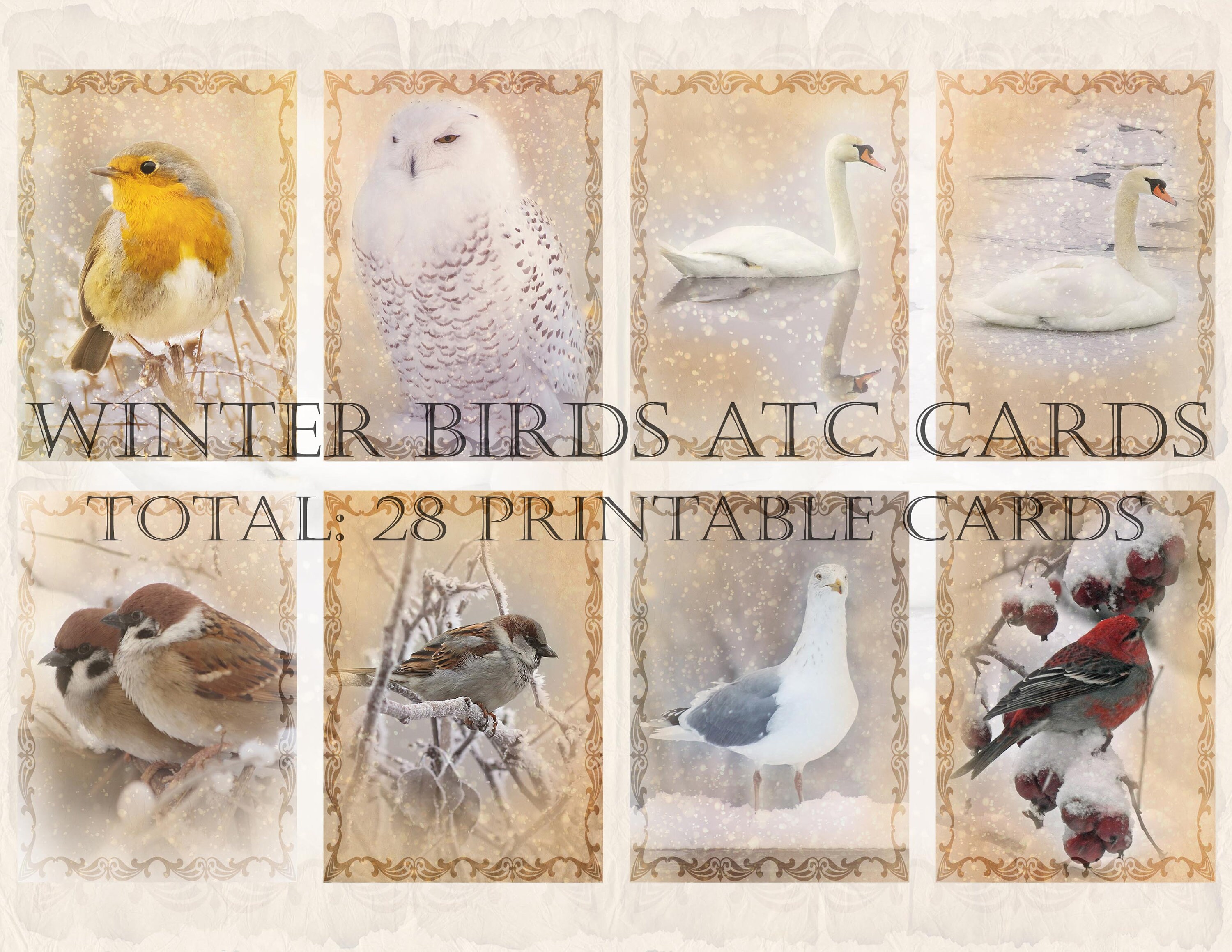Winter Birds ATC Cards, Junk Journal Cards: Digital and Printable ...