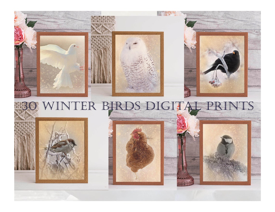Winter Birds Digital Prints, 30 Printable Birds Images, Winter Birds ...