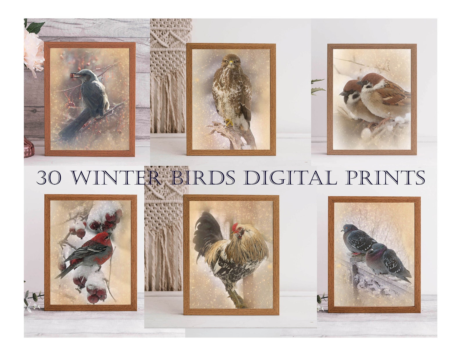 Winter Birds Digital Prints, 30 Printable Birds Images, Winter Birds ...