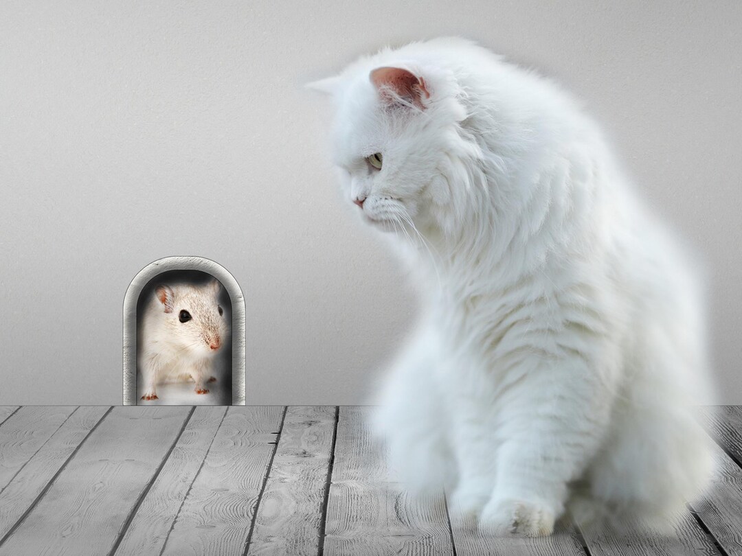 Realistic 3D Mouse Hole Image - Digital and Printable Sticker/decal for ...