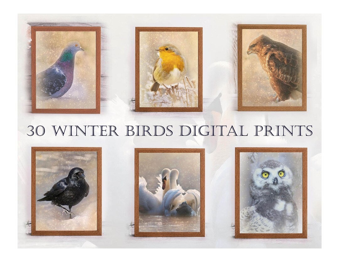 Winter Birds Digital Prints, 30 Printable Birds Images, Winter Birds ...