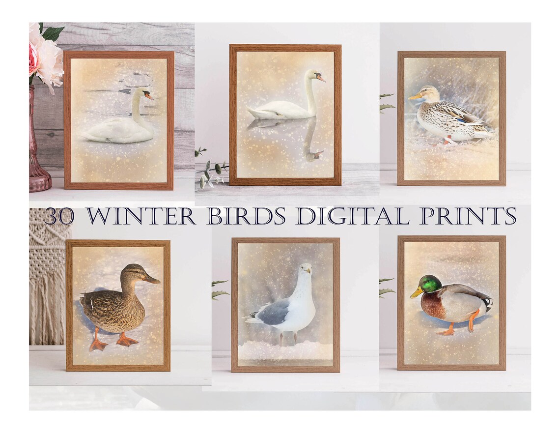 Winter Birds Digital Prints, 30 Printable Birds Images, Winter Birds ...