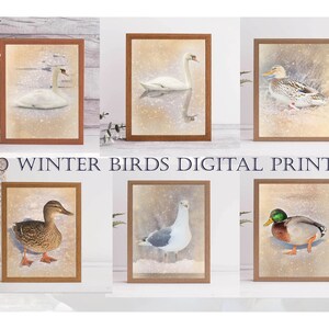 Winter Birds Digital Prints, 30 Printable Birds Images, Winter Birds ...