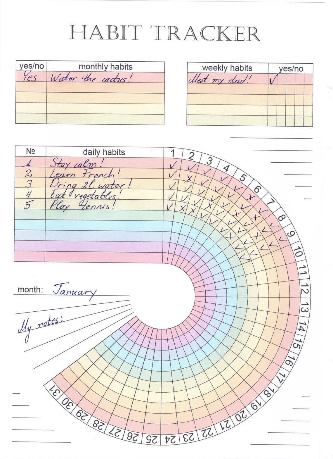 Printable Circle Habit Tracker With Rainbow Colours: Daily - Etsy Canada