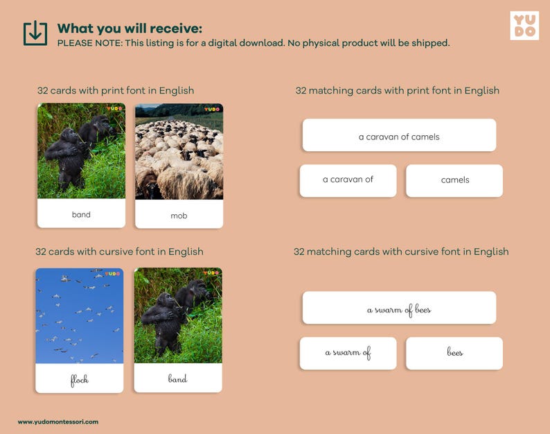 Animal Groups Matching Activity Cards, Montessori Zoology Unit Study ...