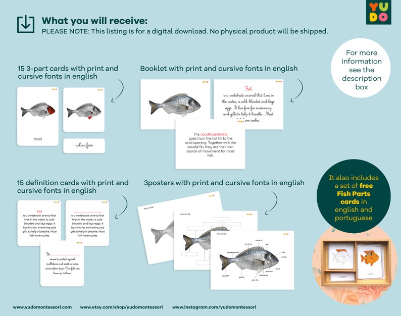 PARTS OF FISH Definition Activity, Fish Zoology Booklet, Fish Anatomy 3 ...