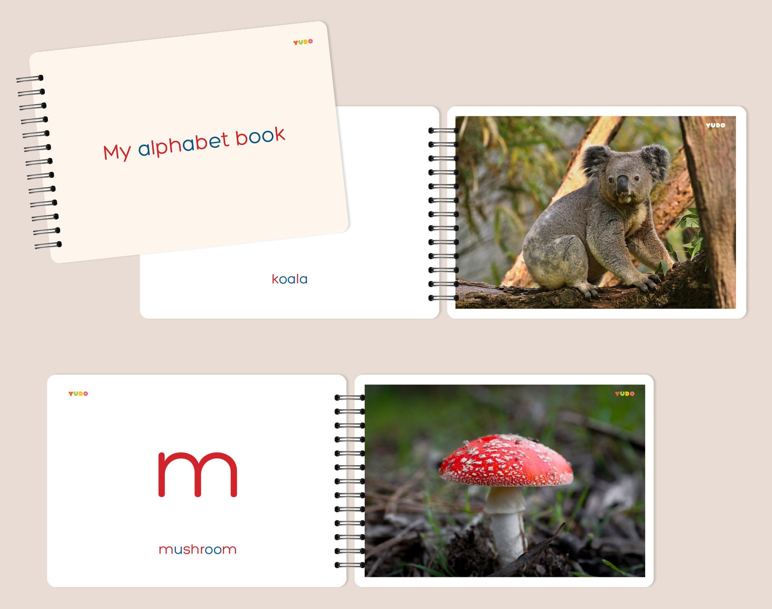 Beginning Sounds Activity, Inicial Sounds Booklet, Phonemic Awareness ...