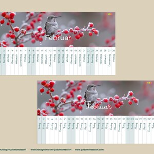 Annual Calendar for Kids, Visual Calendar 2025, School Calendar in ...
