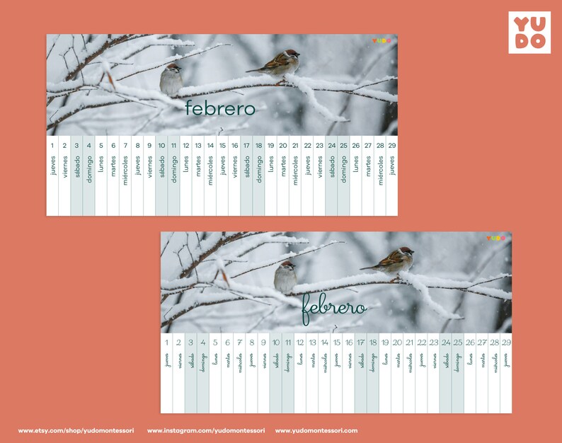 Calendario lineal anual 2024, año completo hemisferio norte, calendario ...