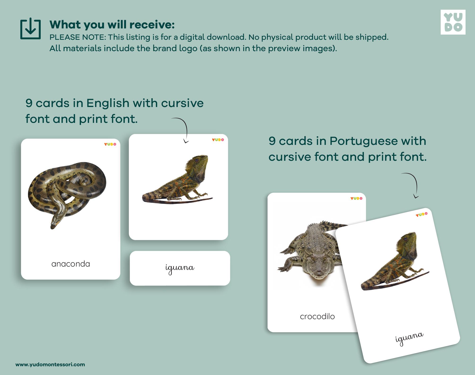 Reptiles Montessori 3 Part Nomenclature Animal Classification Printable ...