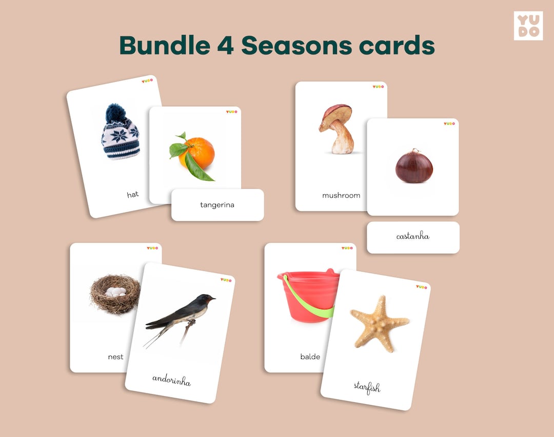 4 SEASONS Montessori Cards, 4 Seasons Flash Cards for Toddlers ...