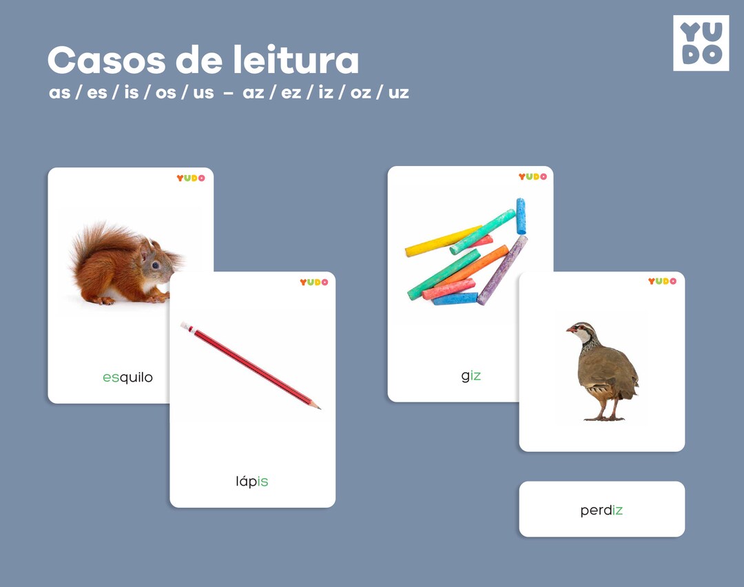 16 Reading Cases Cards for Elementary Education, Montessori Materials ...