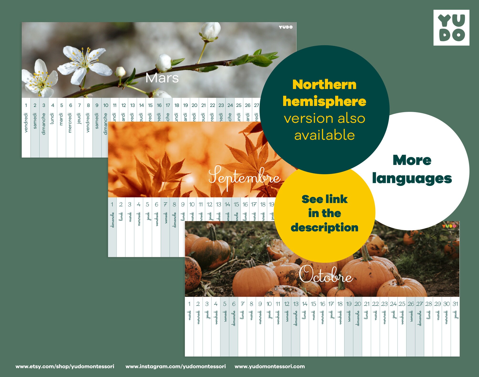 2024 Beam of Time Calendar, South Hemisphere Annual Calendar in French ...