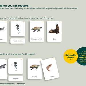 22 OCEAN ANIMALS Montessori Cards, Aquatic Creatures Flashcards ...